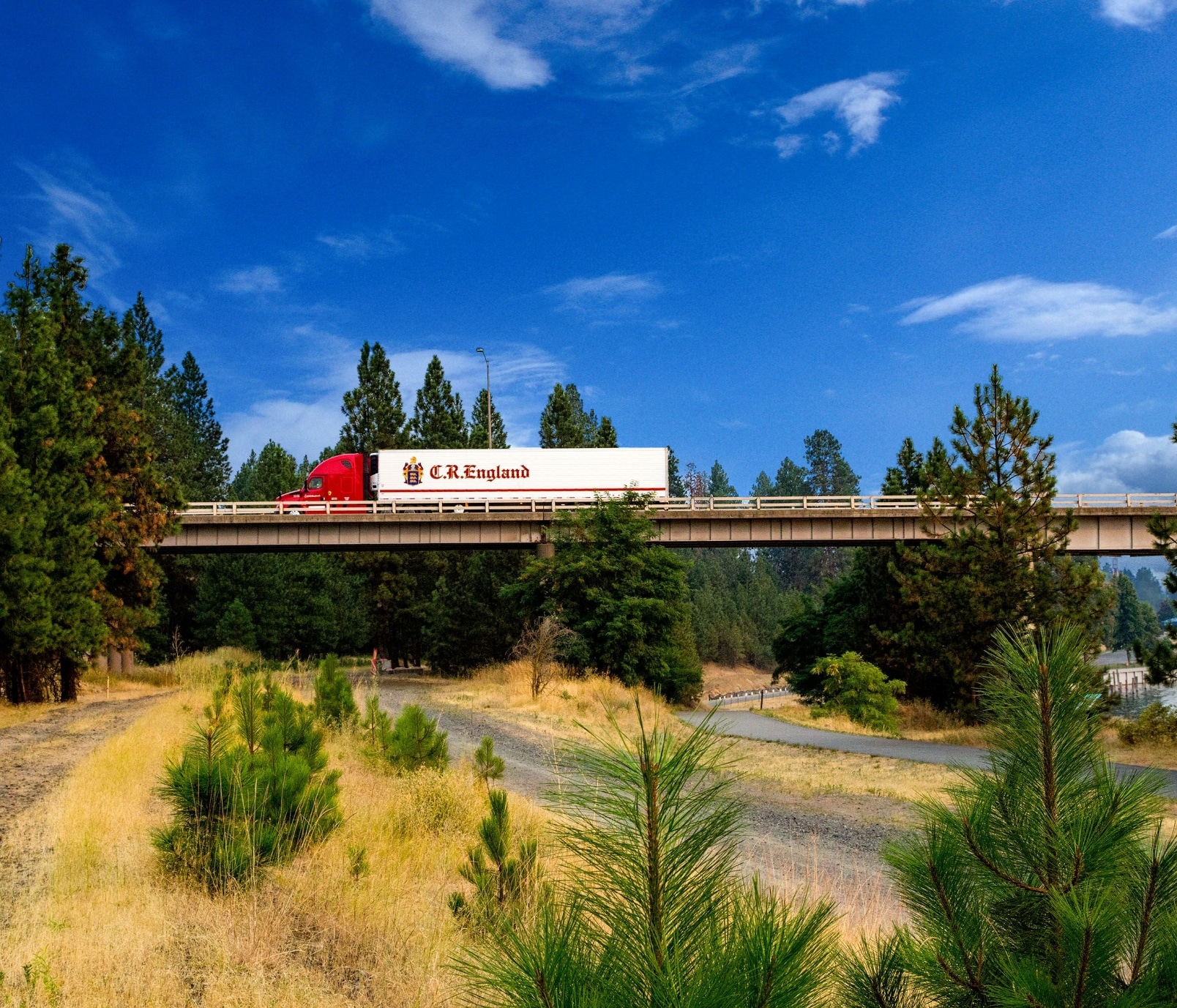 Dedicated Carrier Solutions